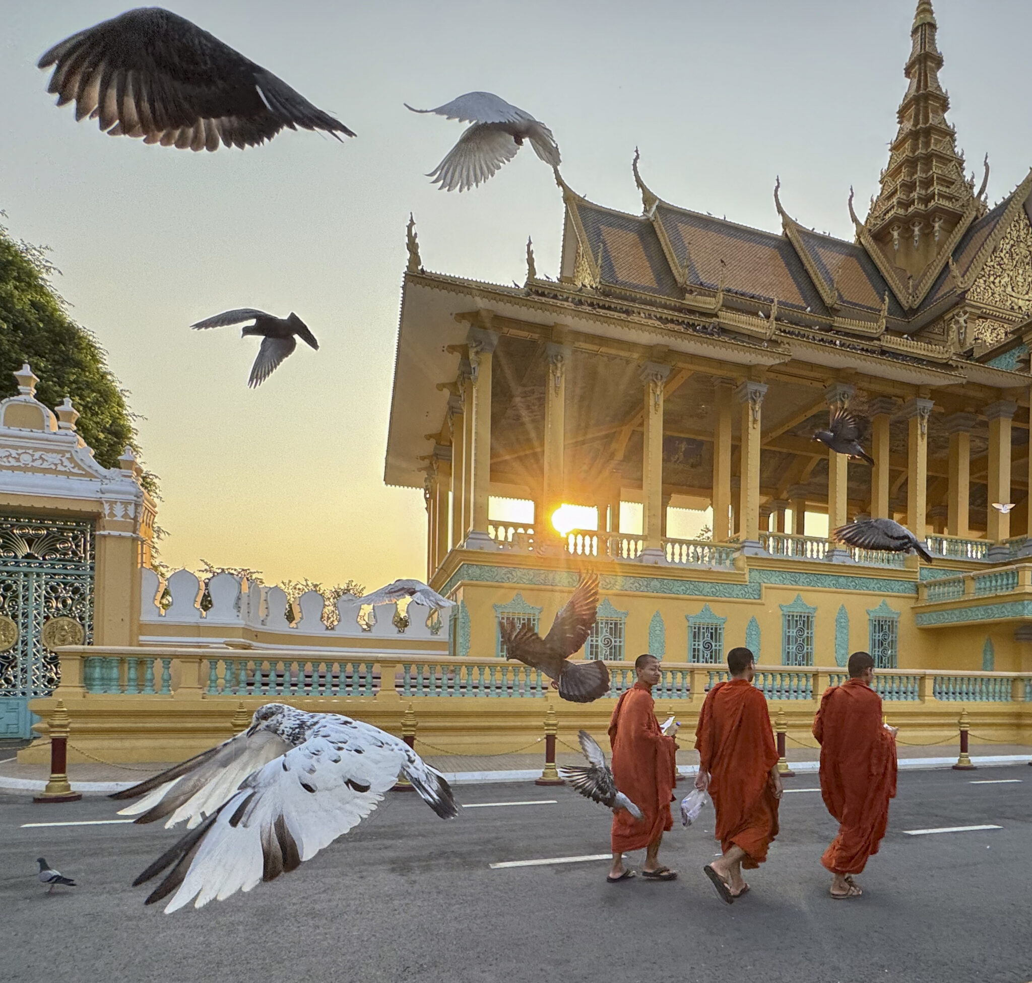 SATW Press & Updates